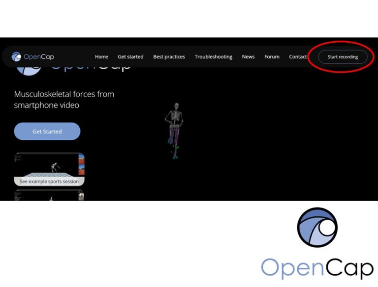 🎯 OpenCapの使い方完全ガイド：スポーツ指導・臨床現場で役立つ無料でできる動作解析 | 自分開発サイト